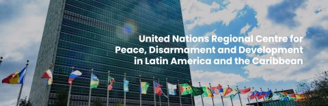 UNLIREC - Regional Centre for Peace, Disarmament and Development in ...